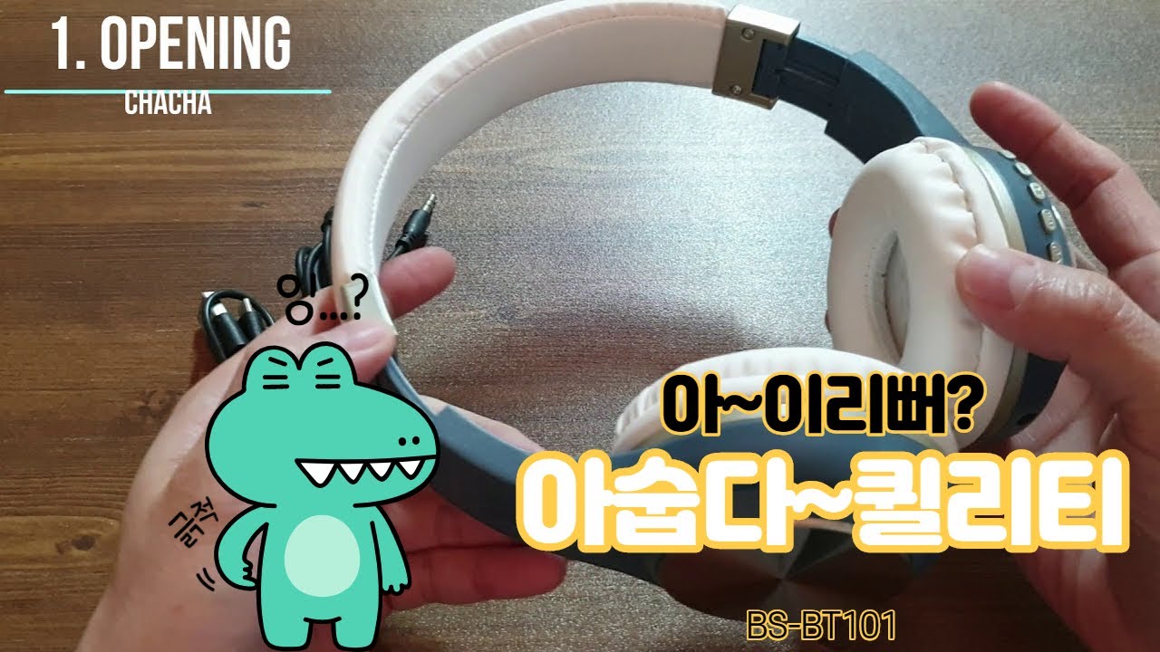 [챠챠]아이리버 블루투스 헤드셋 (BS-BT101) 한달 사용기 - YouTube