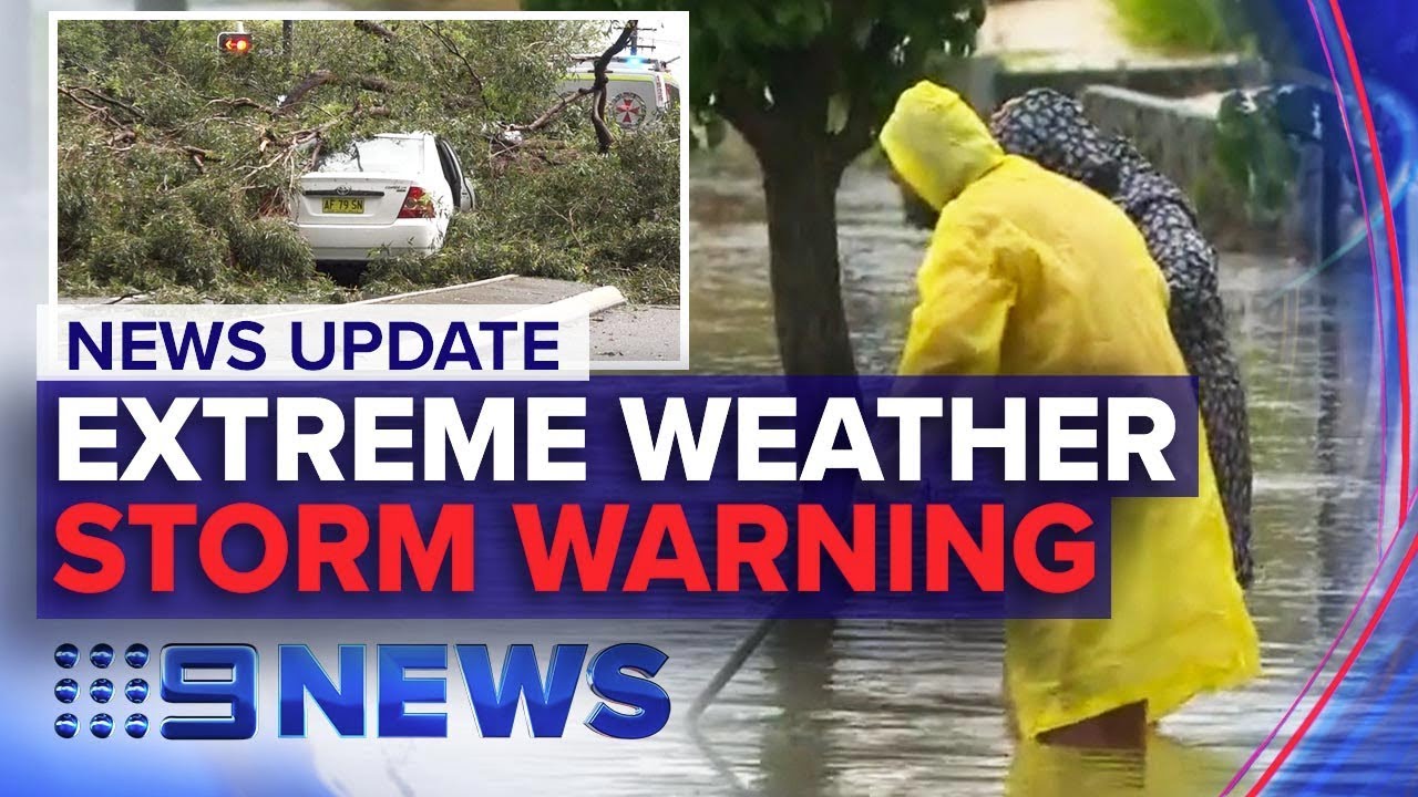News Update: Sydney storm damage, QLD warning | Nine News Australia ...
