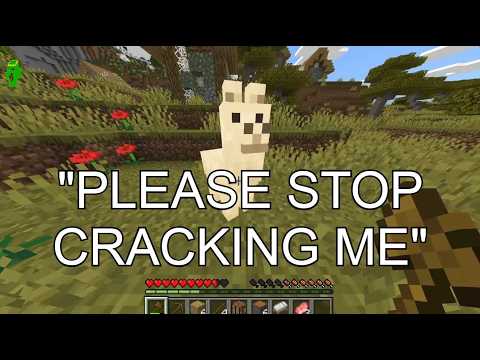 Minecraft but if I jump I get CRACKED