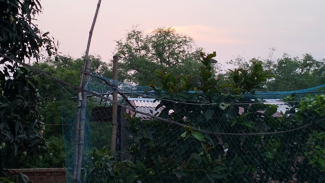 Mini vlog 6/ RUMA MUKHERJEE MINI VLOGER - YouTube