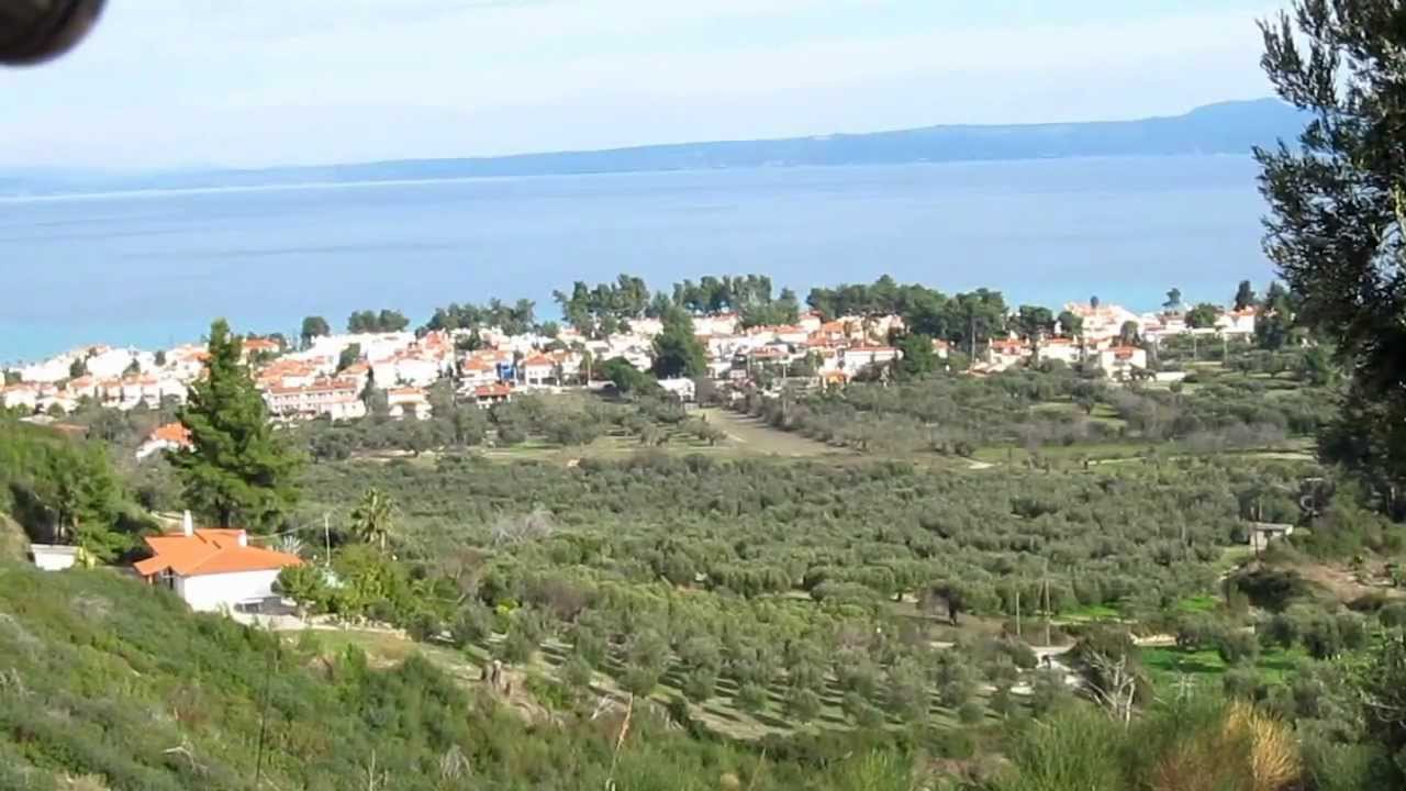 ΚΥΝΗΓΙ ΛΑΓΟΥ ΜΕ BEAGLE ΕΠΙΛΕΚΤΙΚΗ ΕΚΤΡΟΦΗ TSIRKOUDIS...AΠΟΣΠΑΣΜΑΤΑ DVD ...