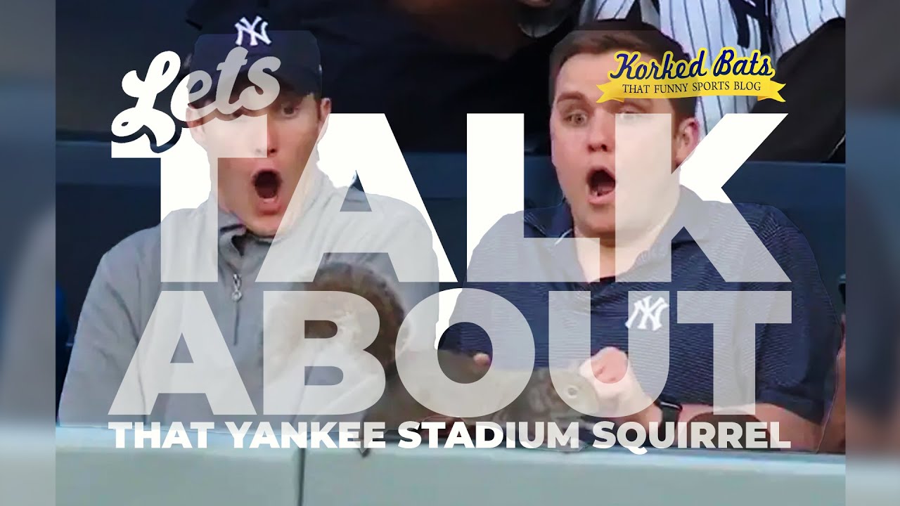 A Breakdown of that Yankee Stadium Squirrel - YouTube