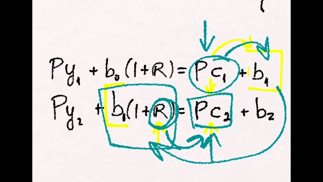 Real Business Cycle 5: The Intertemporal Substitution Effect (Changes ...