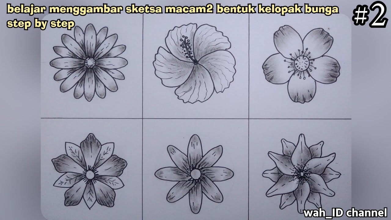 tutorial gambar sketsa mudah step by step | macam2 gambar kelopak bunga ...