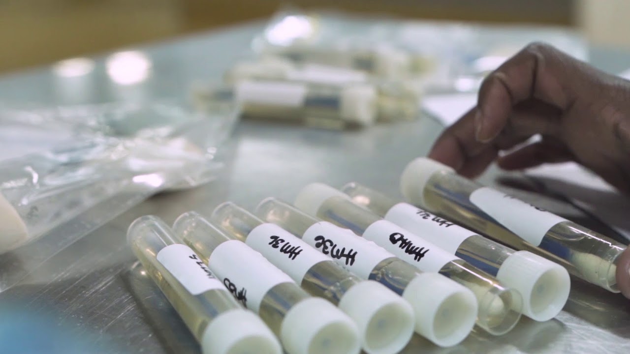Enterprise Foods Factory: Sneak peak into the making of our polony ...