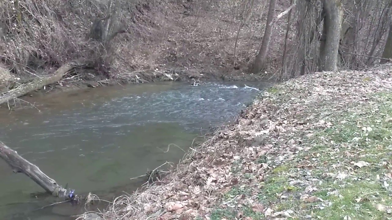 Creek in Switzer, WV (January 28th, 2019) - YouTube