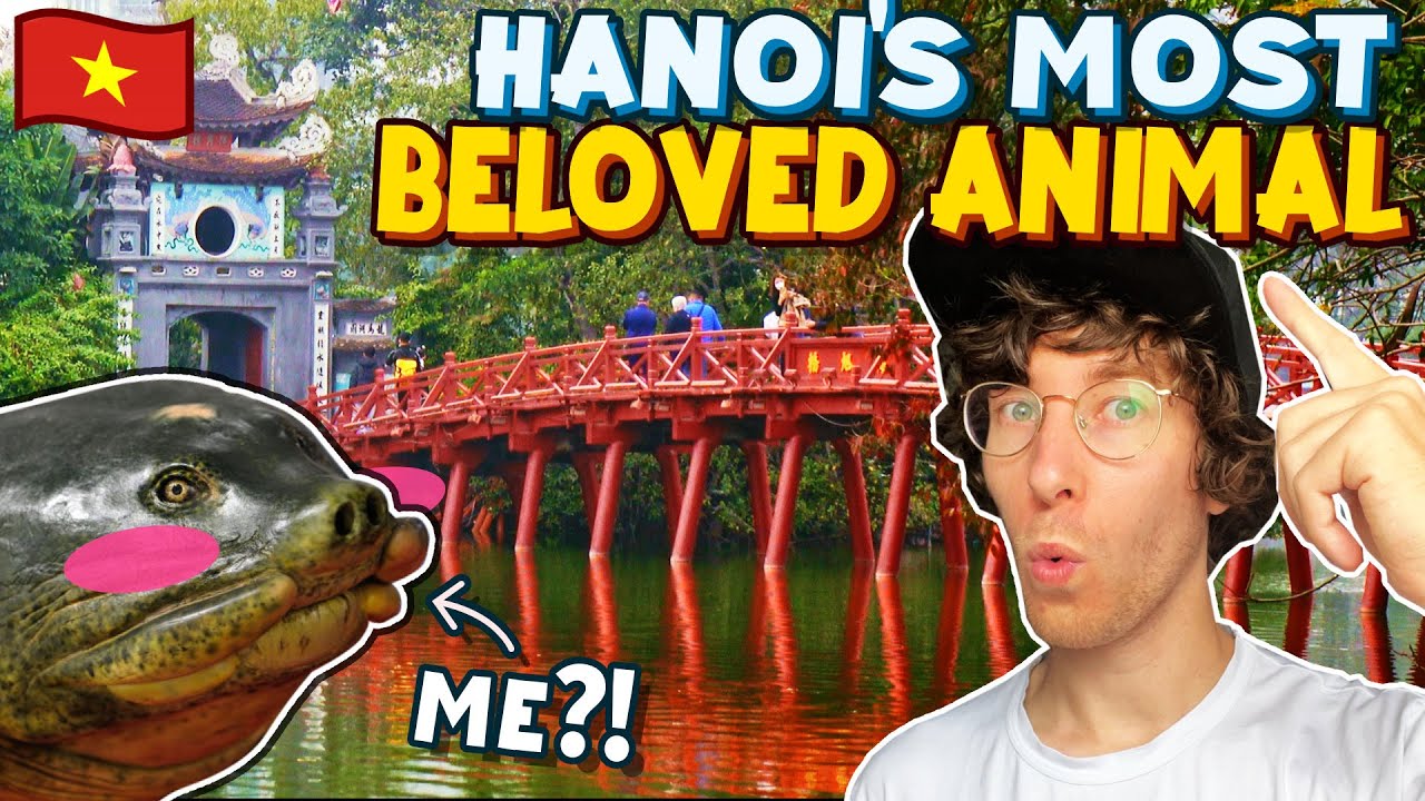 Hanoi's MOST BELOVED Animal! | Vietnam Hoan Kiem Lake Vlog - YouTube