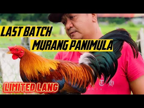 Last batch - YouTube