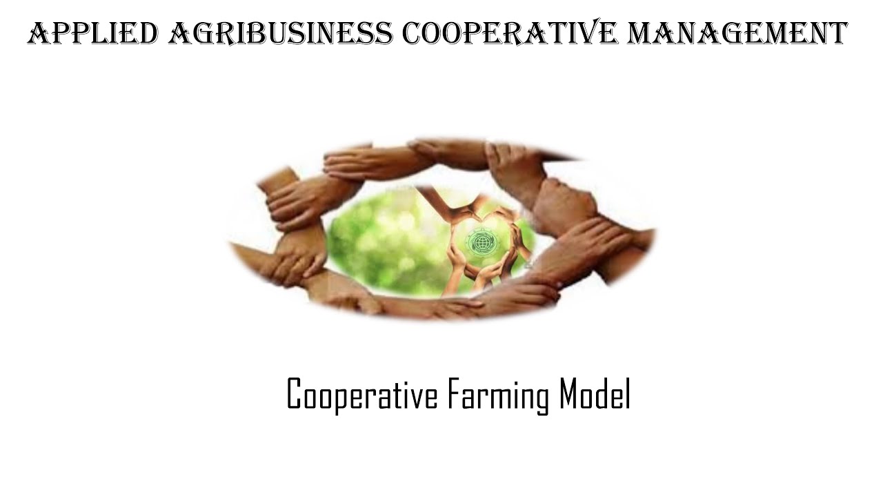 Cooperative Farming Model - YouTube