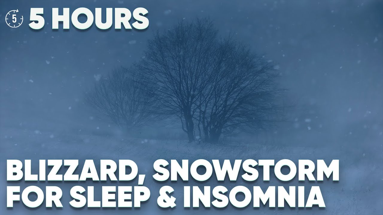 5 Hours of a Blizzard / Snowstorm / Wind for Sleep, Relaxation, Focus ...