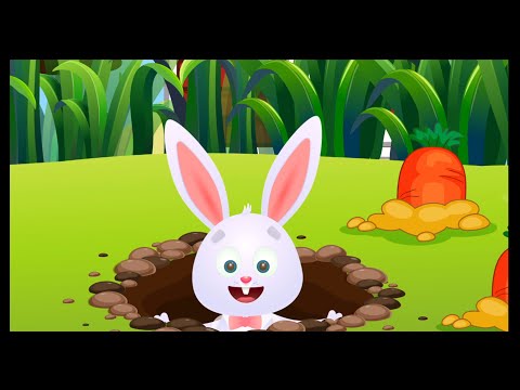 Şu Hendekte Bir Tavşan Uyuyordu | Eğlenceli Çocuk Şarkısı | Minnak Çocuk Şarkıları