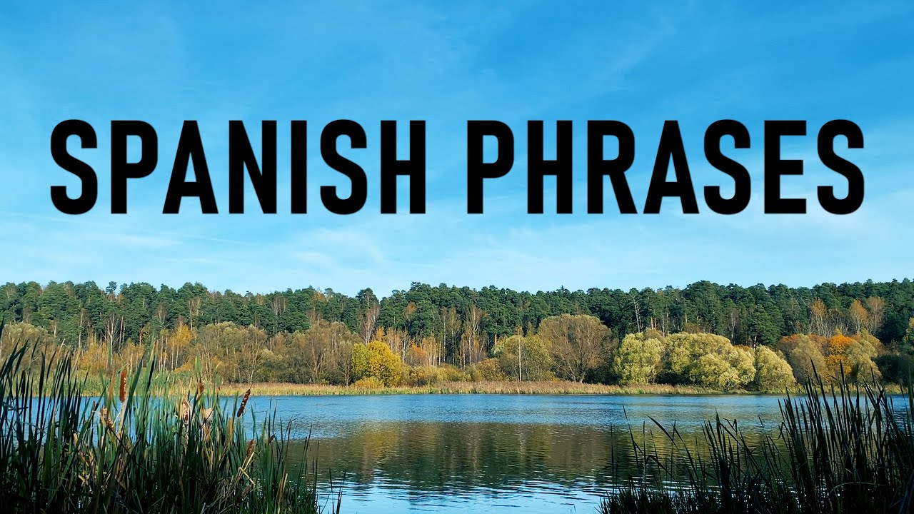 Conversational Spanish: Top Phrases You'll Hear Every Day! Spanish for ...