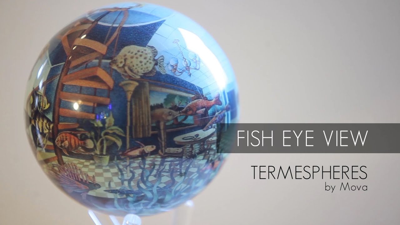 Fish Eye View - YouTube