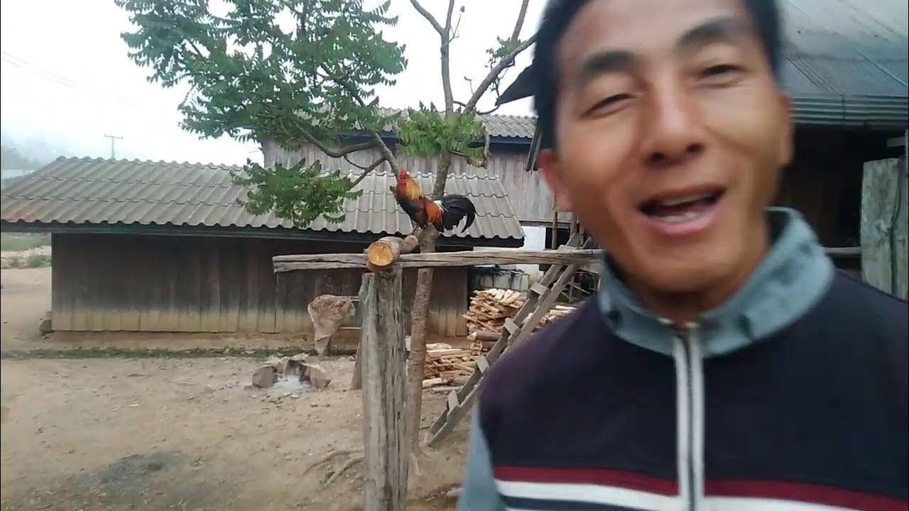 kv coj peb mus saib qaib dib f3 leej twg nyiam noog tau nawj - YouTube