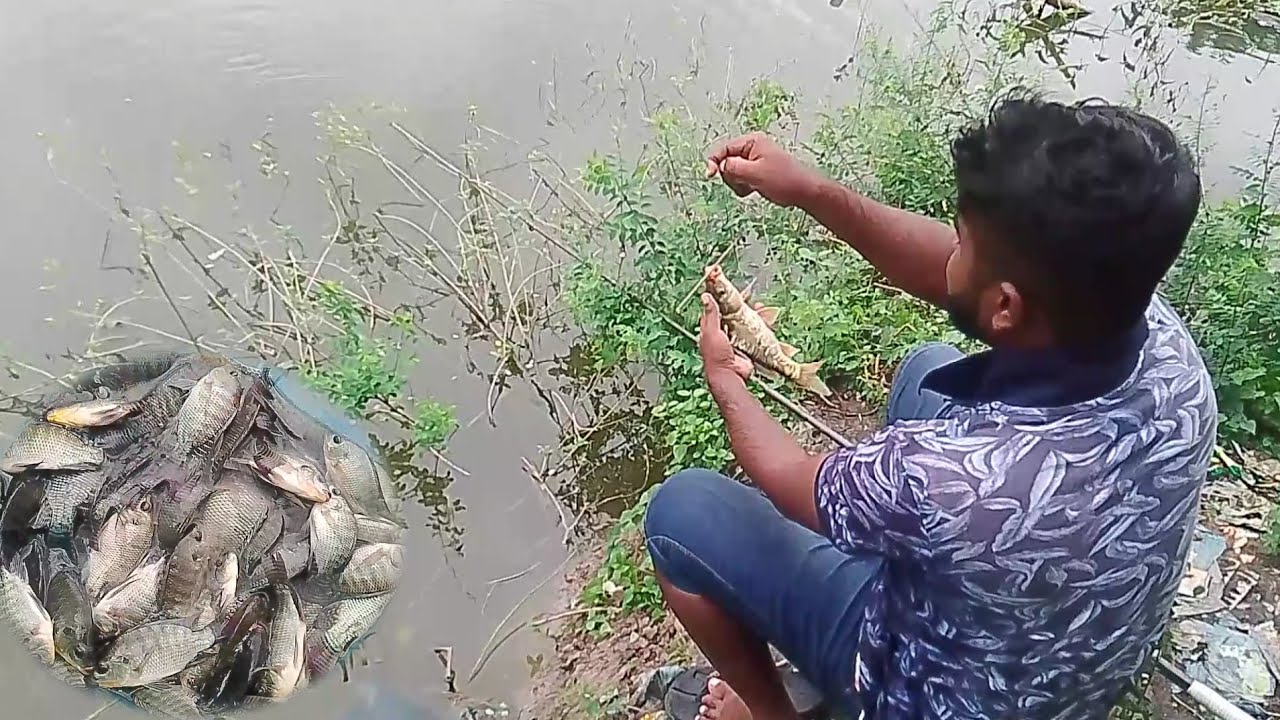 Traditional fishing! hook fishing! village fishing! fish catching video ...