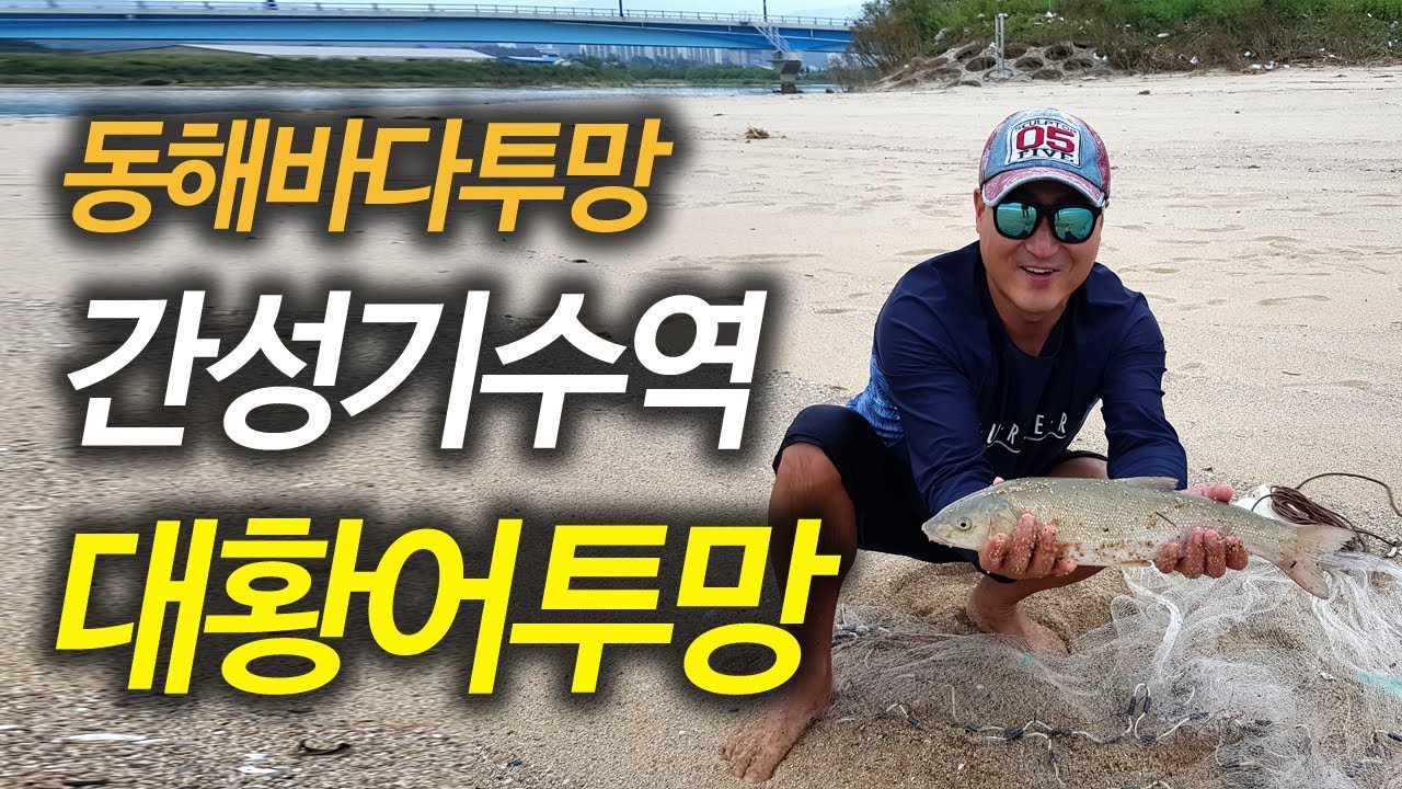메탈배스바다투망낚시 강원도 고성 간성 기수역 투망여행 바다투망달인들 인기포인트 숭어전어황어졸복투망 캠핑 바다낚시 차박 집시맨 동해바다 Cast Net