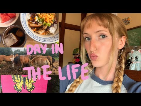 DAY IN THE LIFE VLOG
