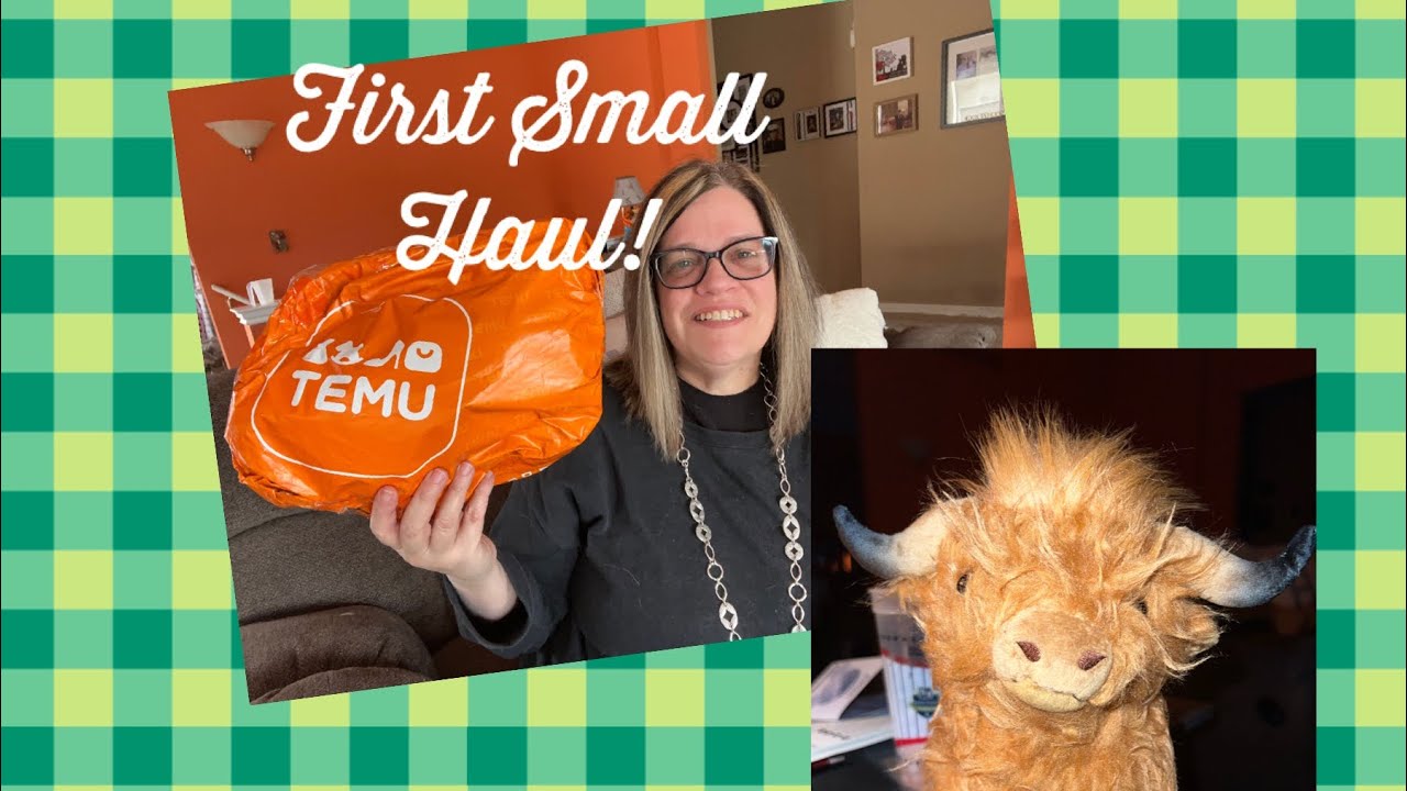 💥 My First Small TEMU Haul! 💥 - YouTube