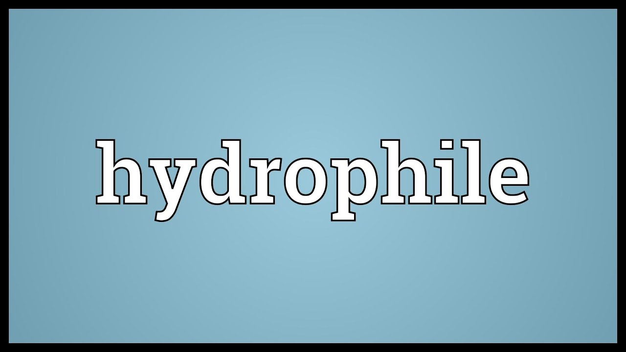 Hydrophile Meaning - YouTube