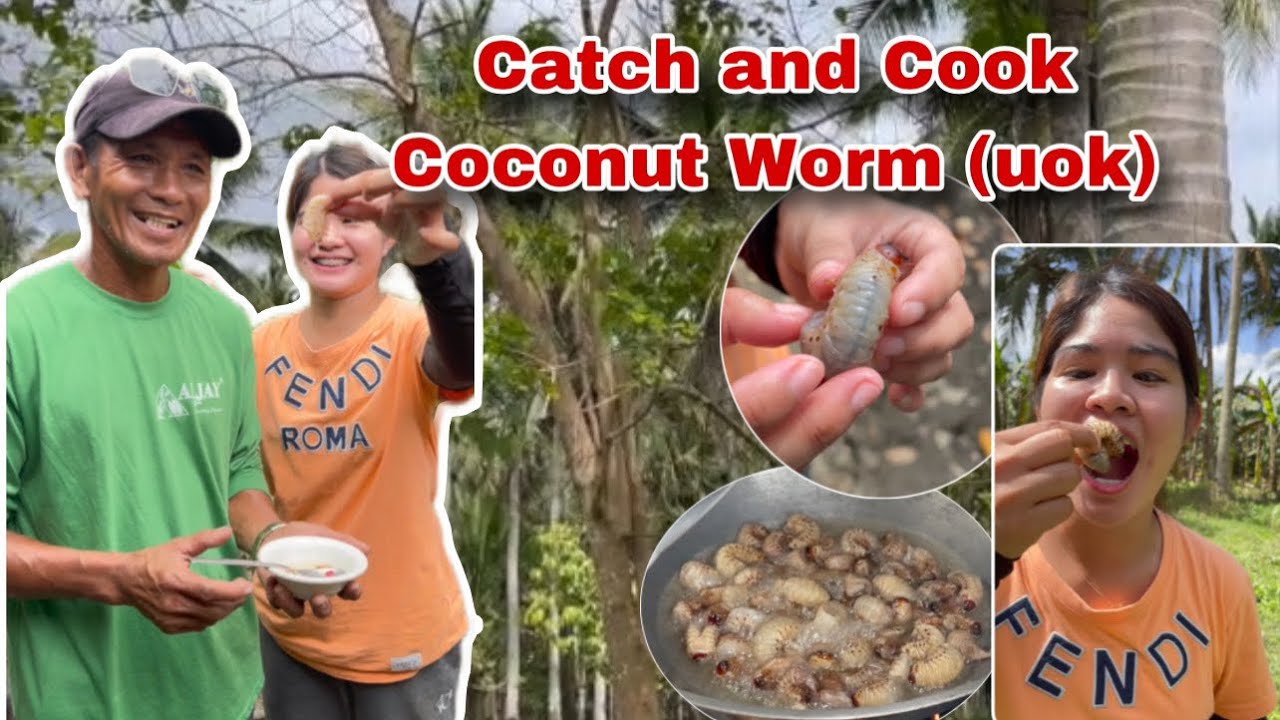 Masarap pala ang Uok | Catch and Cook Coconut Worm | Ka Mangyan Vlogs ...