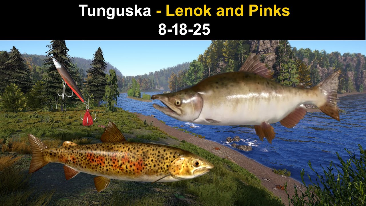 Russian Fishing 4, Tunguska - Lenok and Pinks 8-18-25 - YouTube