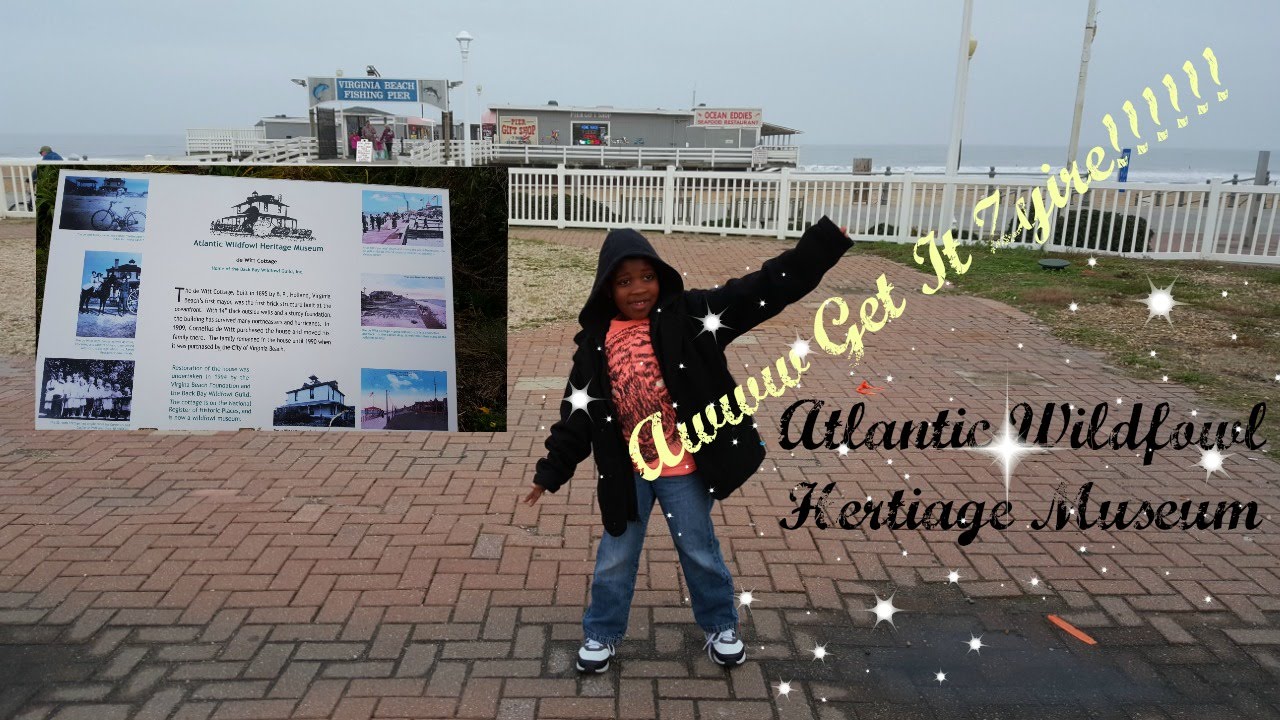 Awww Get It Zyire (Atlantic Wildfowl Heritage Museum) - YouTube