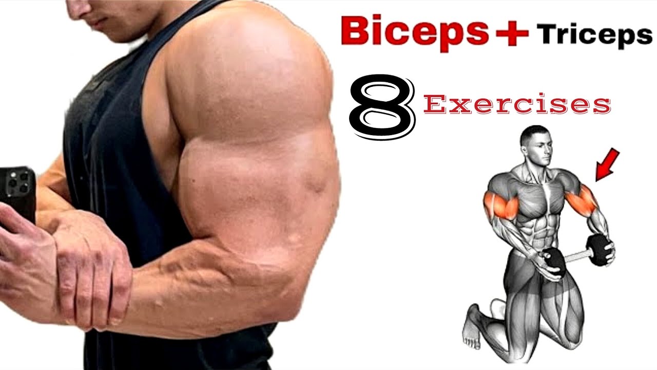 The Best Arm Exercises in the Bodybuilding Club - YouTube