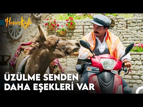 Eşeğin Aklı Samanlıkta, Başkasında Ne İşi Var? - Hanım Köylü