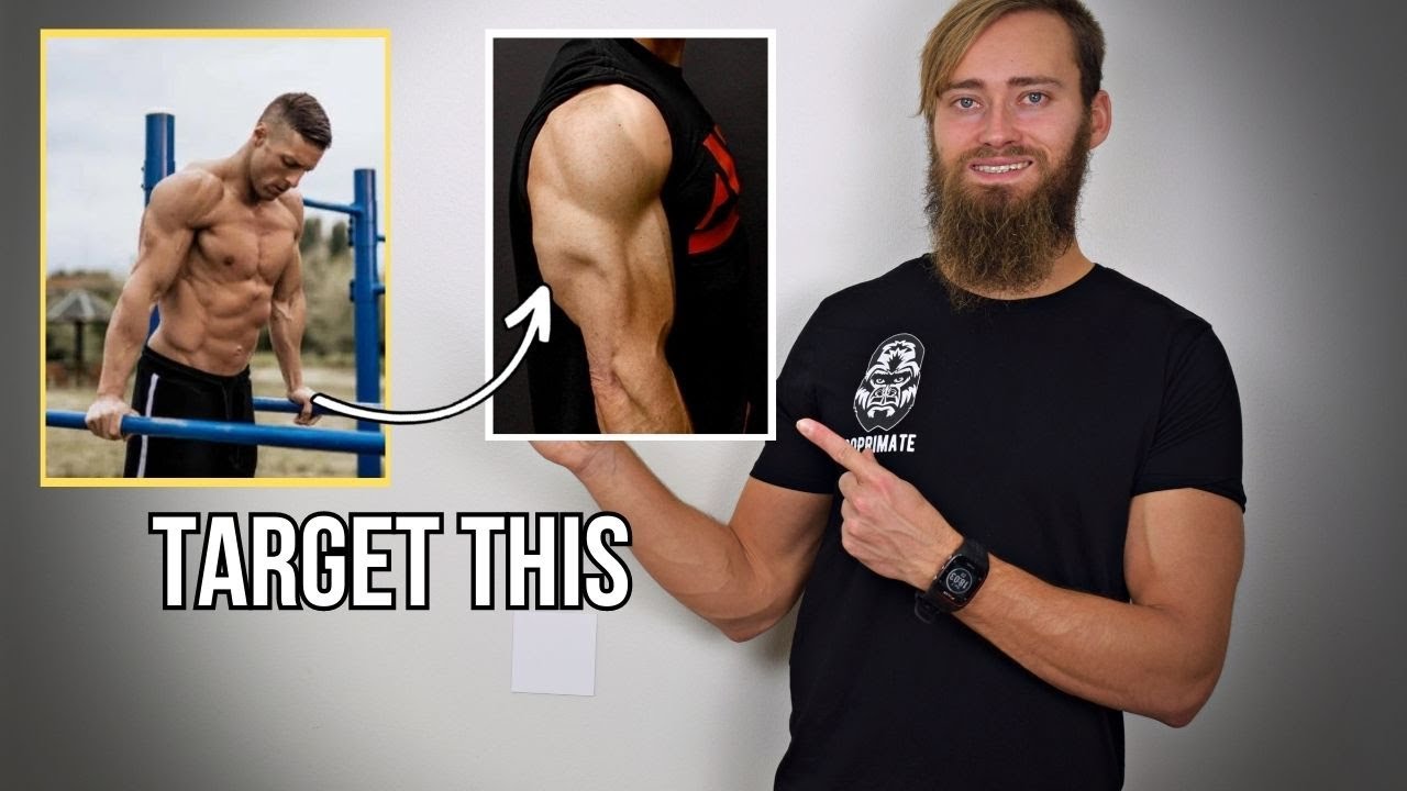 What Dips Are Best For Triceps? - 2 TOP Contenders - YouTube