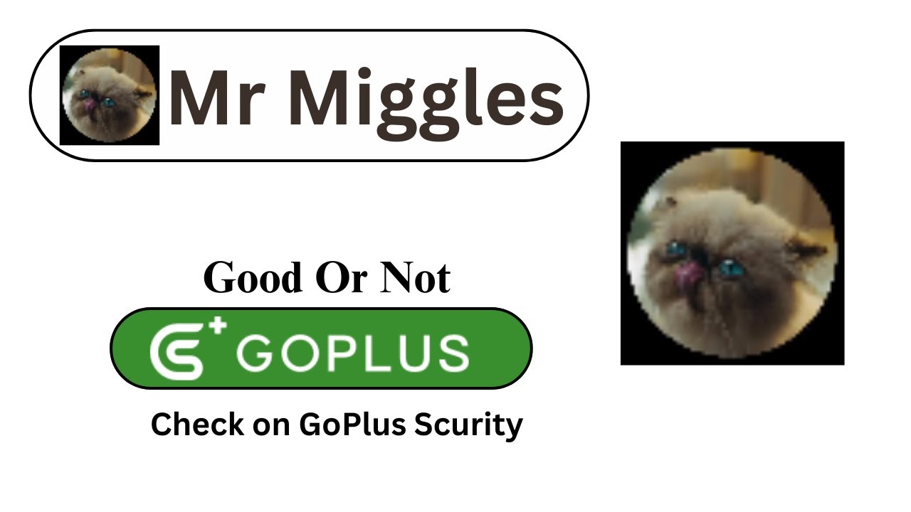 Is Mr Miggles ($MIGGLES) Token Good Or Not ?? - YouTube