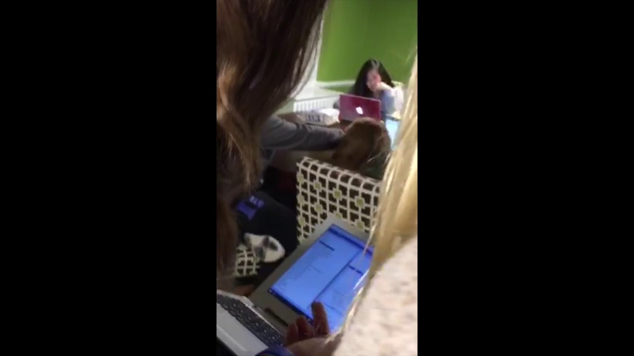 Duke Comp Sci 101 Mannequin Challenge - YouTube