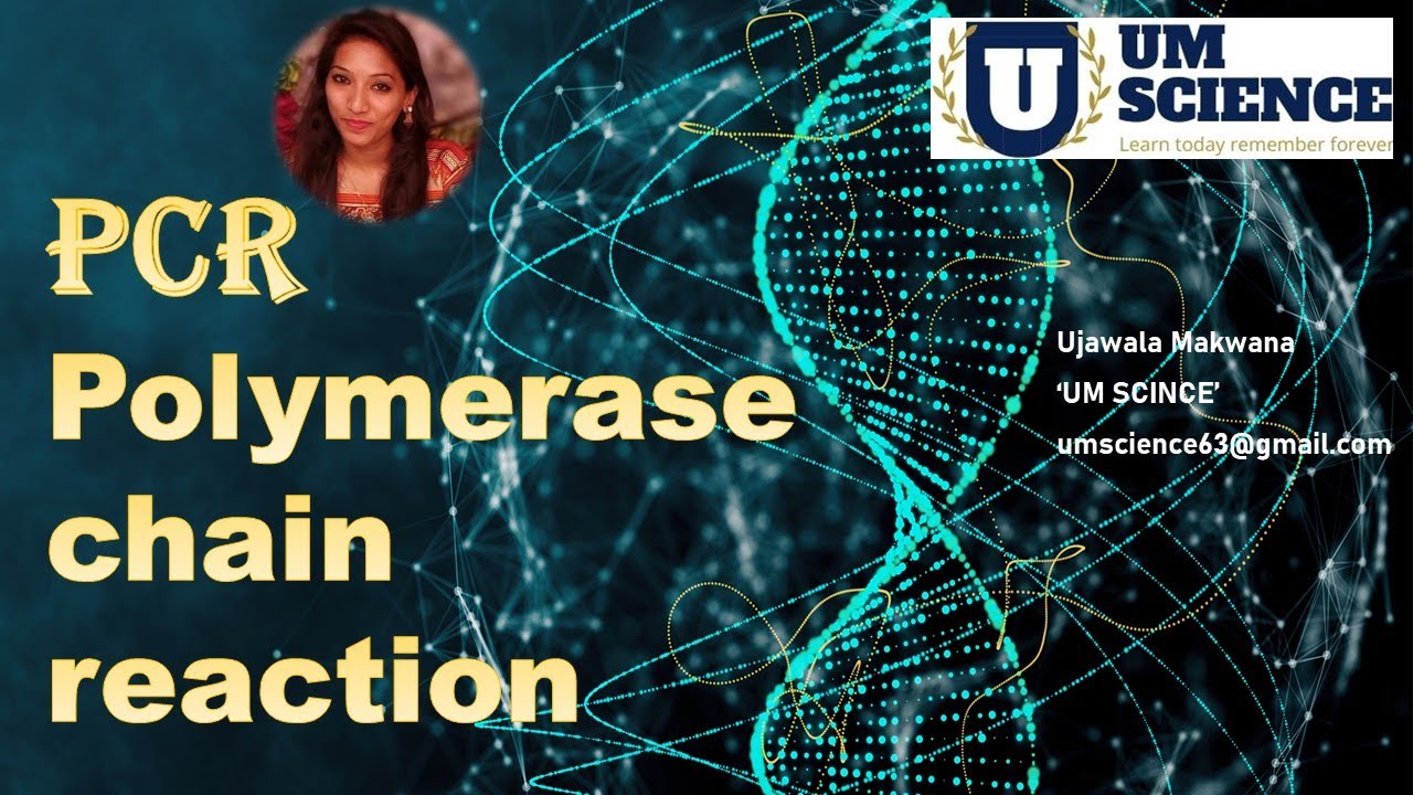 Polymerase chain reaction/PCR technique in biotechnology/pcr polymerase ...