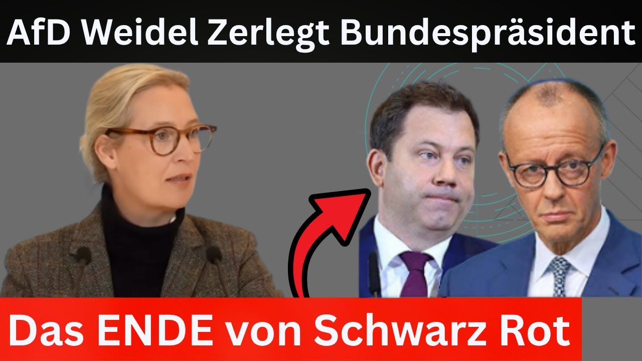 Das ENDE von Schwarz Rot! Weidel Zerlegt Bundespräsident ...