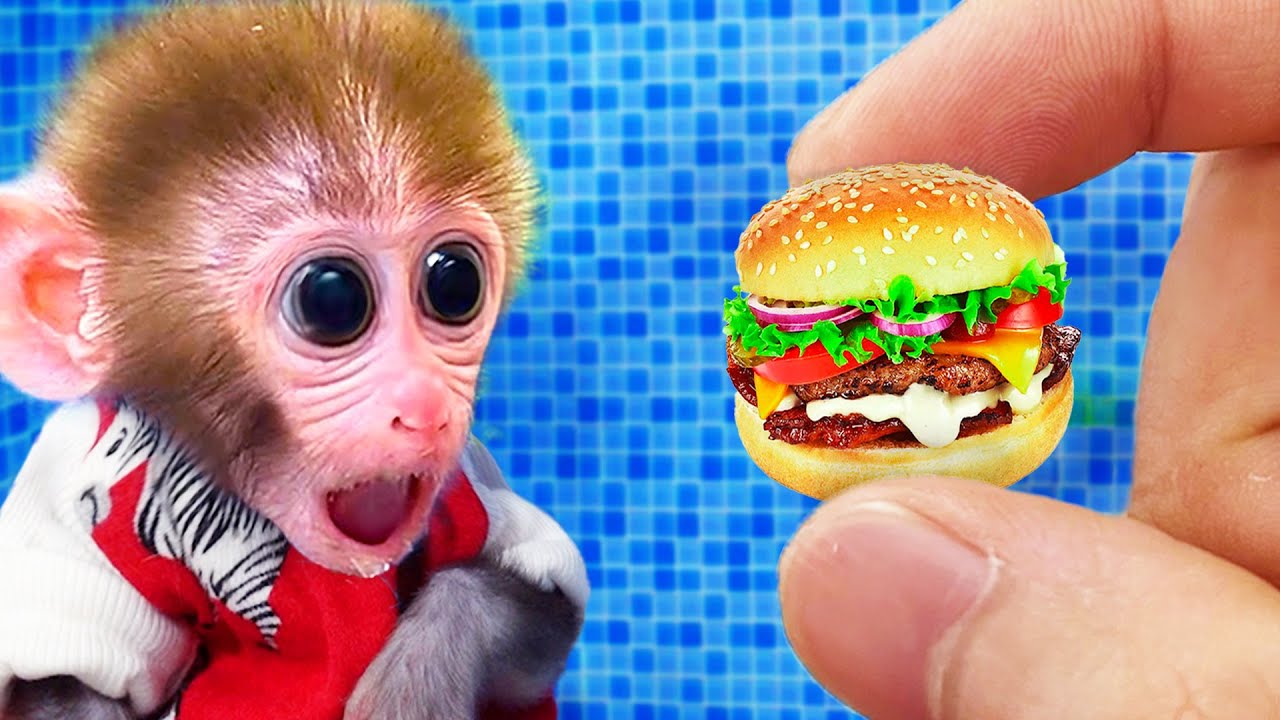 🔴Baby Monkey Bi Bon eats hamburgers and bathes in a pool of colorful balls | Animals Monkey ...