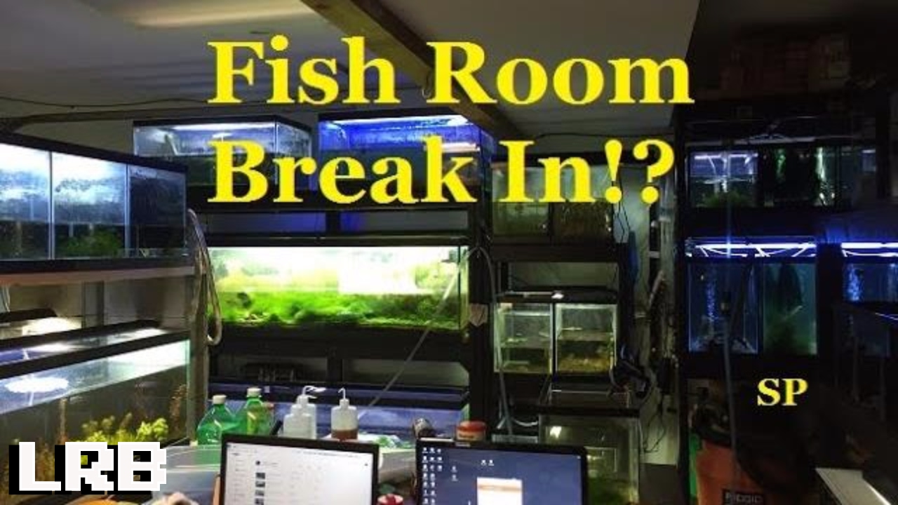 SP Fish Room Break In!? - YouTube