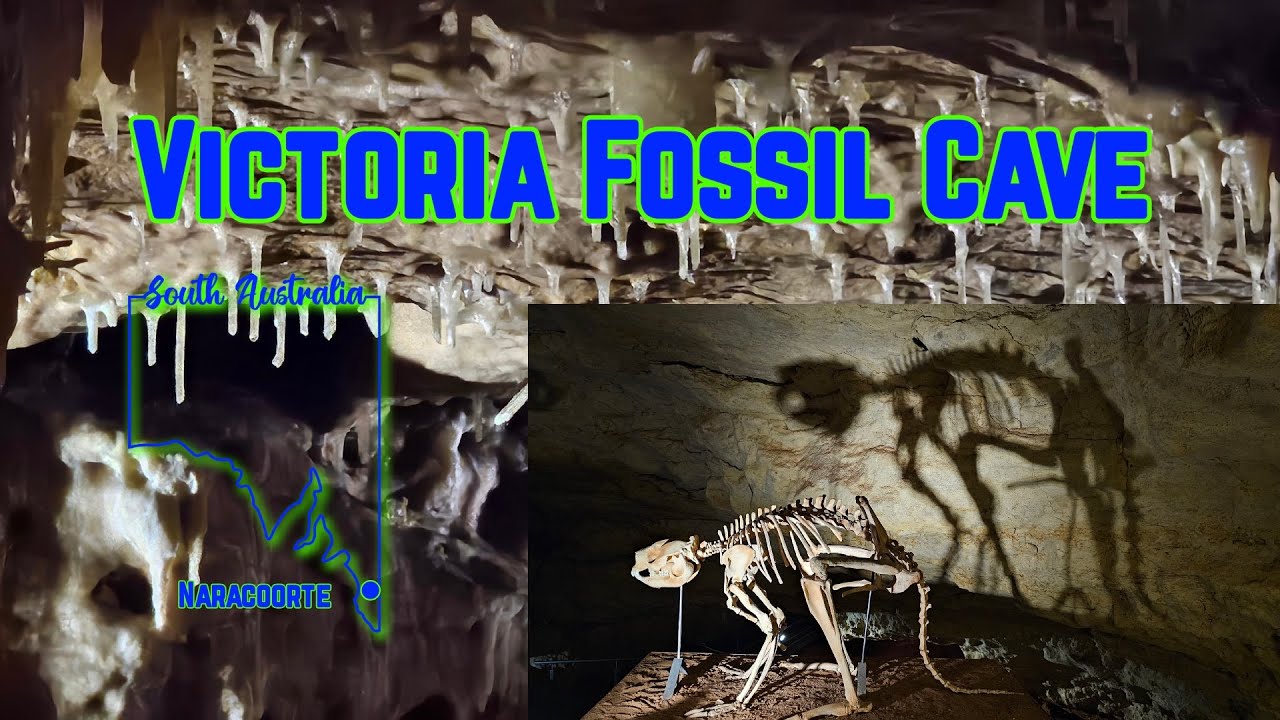 Victoria Fossil Cave Naracoorte SOUTH AUSTRALIA - YouTube