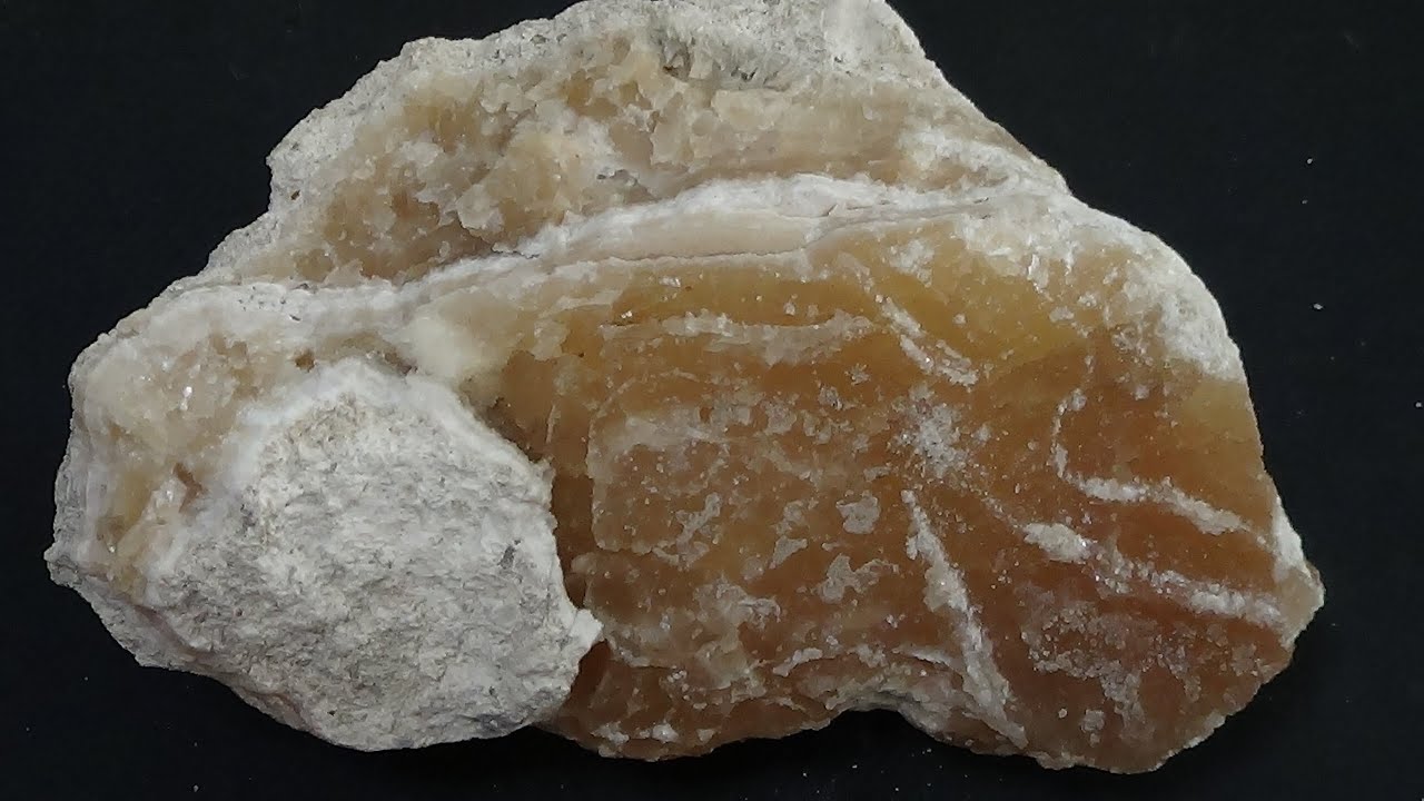 Large Calcite Crystal in Fossil Rich Limestone - Safari Sam - YouTube