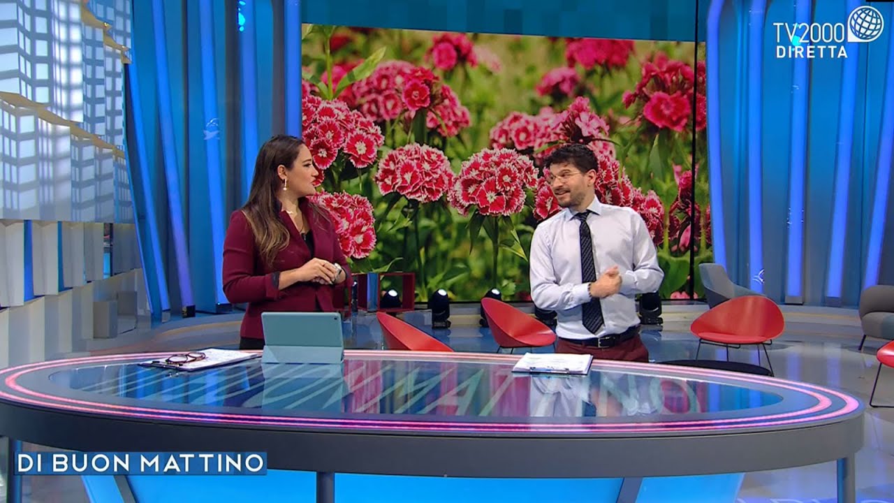 Di Buon Mattino - puntata del 12 gennaio 2022 - YouTube