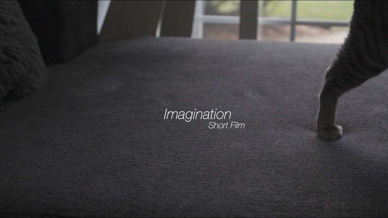 Imagination | Short Film - YouTube