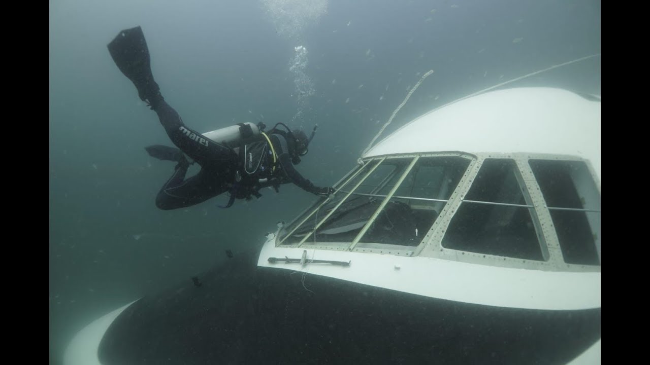 Bahrain Underwater Theme Park @divebahrain - YouTube
