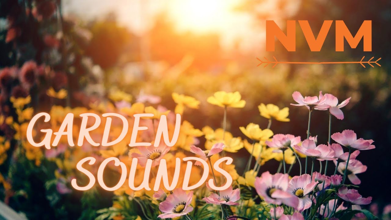 Soothing Garden Sounds - Hear Birds Bees Crickets Frogs for Relaxation ...