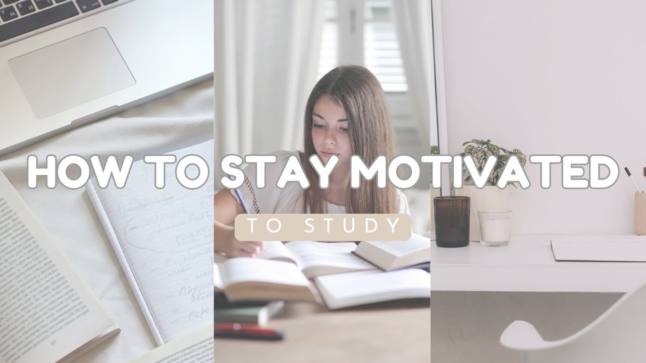 How to Stay Motivated to Study - YouTube