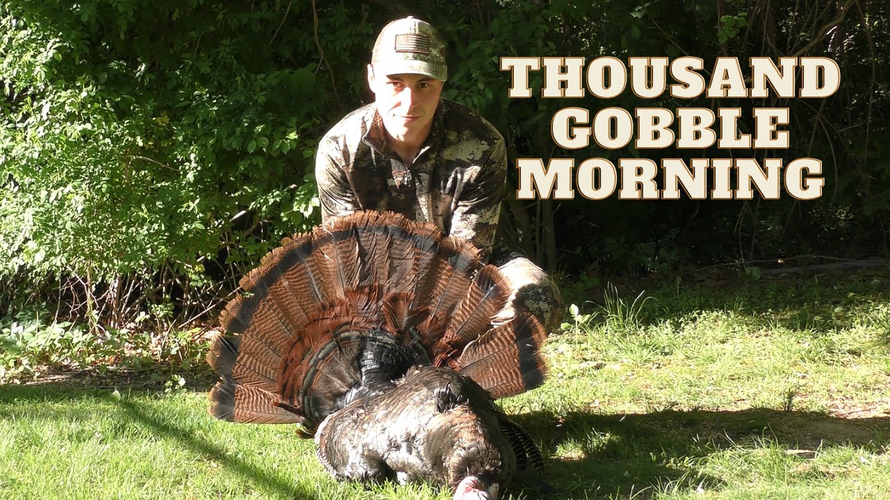 THOUSAND GOBBLE Morning! | MA Spring Turkey Hunting 2023 - YouTube