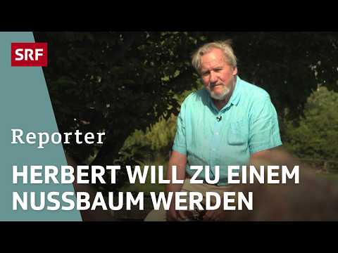 Kompost statt Sarg – Eine neue Art der Bestattung | Reporter | SRF