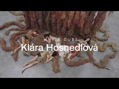 In the Gallery: Klára Hosnedlová ‘Echo’ at White Cube Bermondsey | White Cube