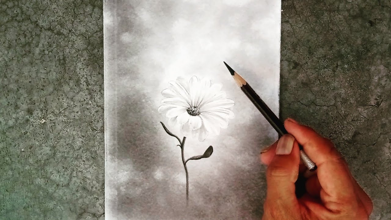 How to draw a white flower landscape by pencil with easy ways. - YouTube