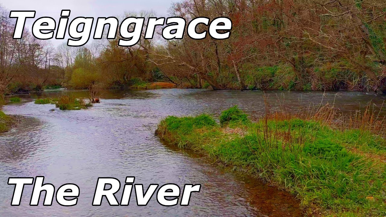 Teigngrace - The River - 28/03/21 - YouTube
