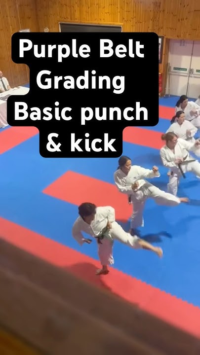Karate purple belt grading, basic punches and kicks #fyp #shorts # ...