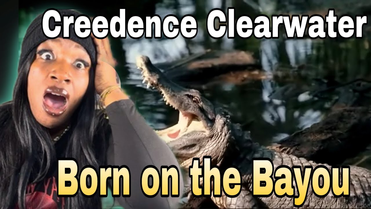 I AM IMPRESSED!! CREEDENCE CLEARWATER REVIVAL - Born On The Bayou ...