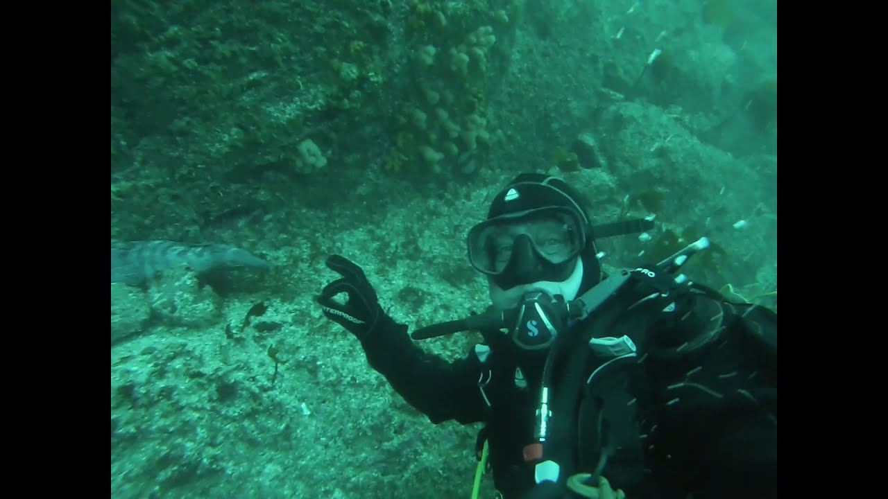 GoPro Footage – Scuba diving in the Arctic Saltstraumen - 18th Feb 2023 ...
